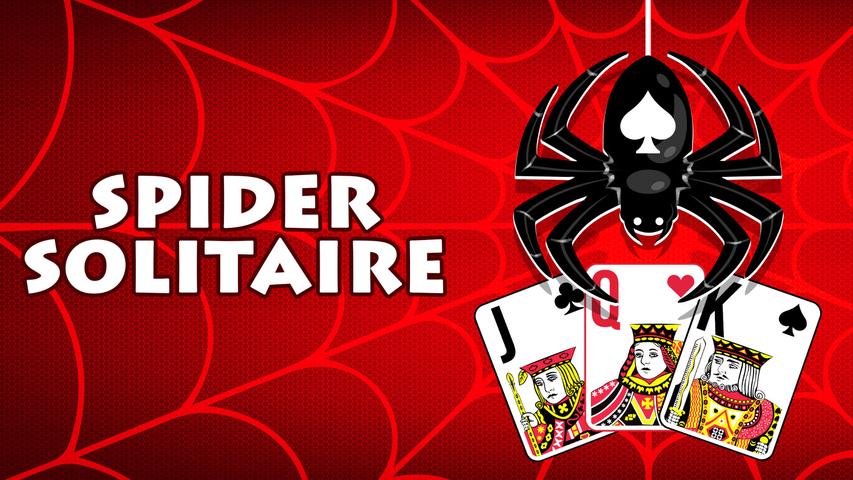 Spider Solitaire Logo Spiders In Tennessee | Pest Identifier
